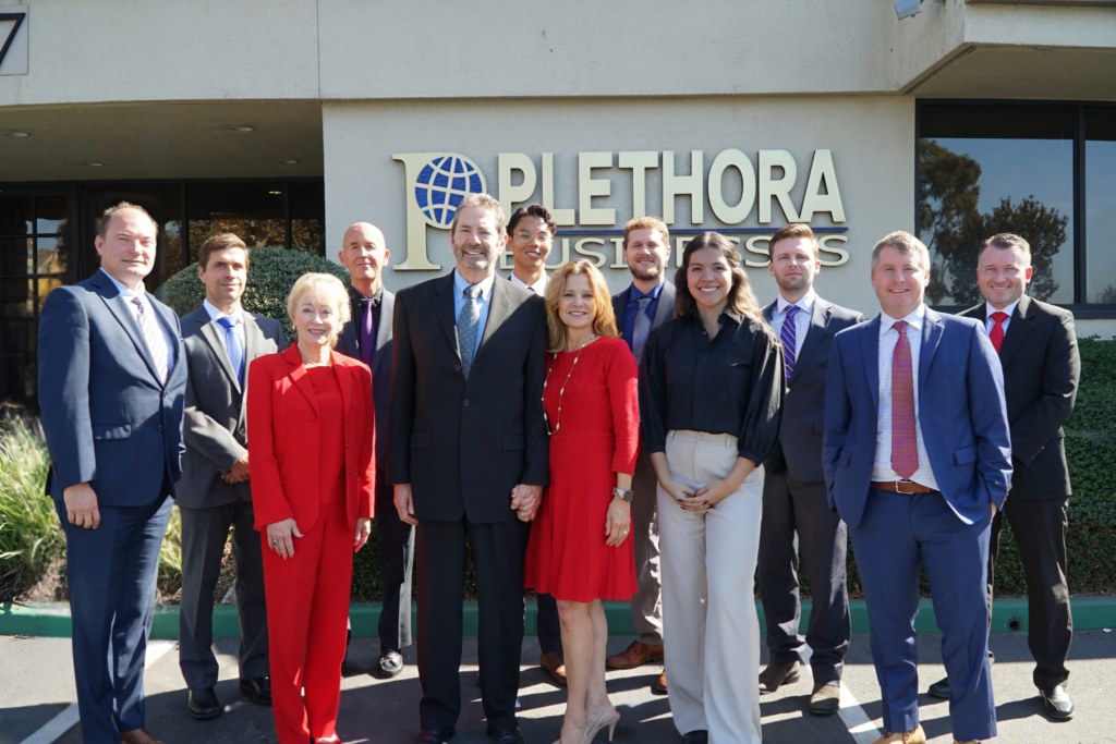 Plethora Businesses: Your Partner in Merger & Acquisition Success